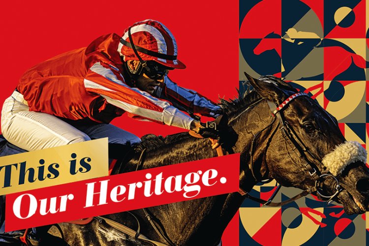 Rashid Equestrian & Horseracing Club Unveils Ambitious 2025–2026 Season ...