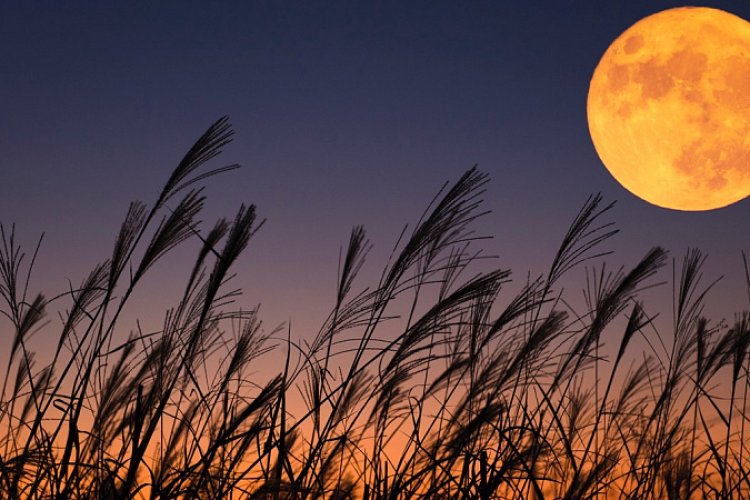 Super Harvest Moon to Light Up Bahrain’s Night Sky on Monday - Gulf ...