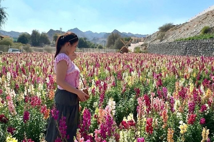 Ras Al Khaimah Flower Farm Wins UAE’s Top Agricultural Award - Gulf ...